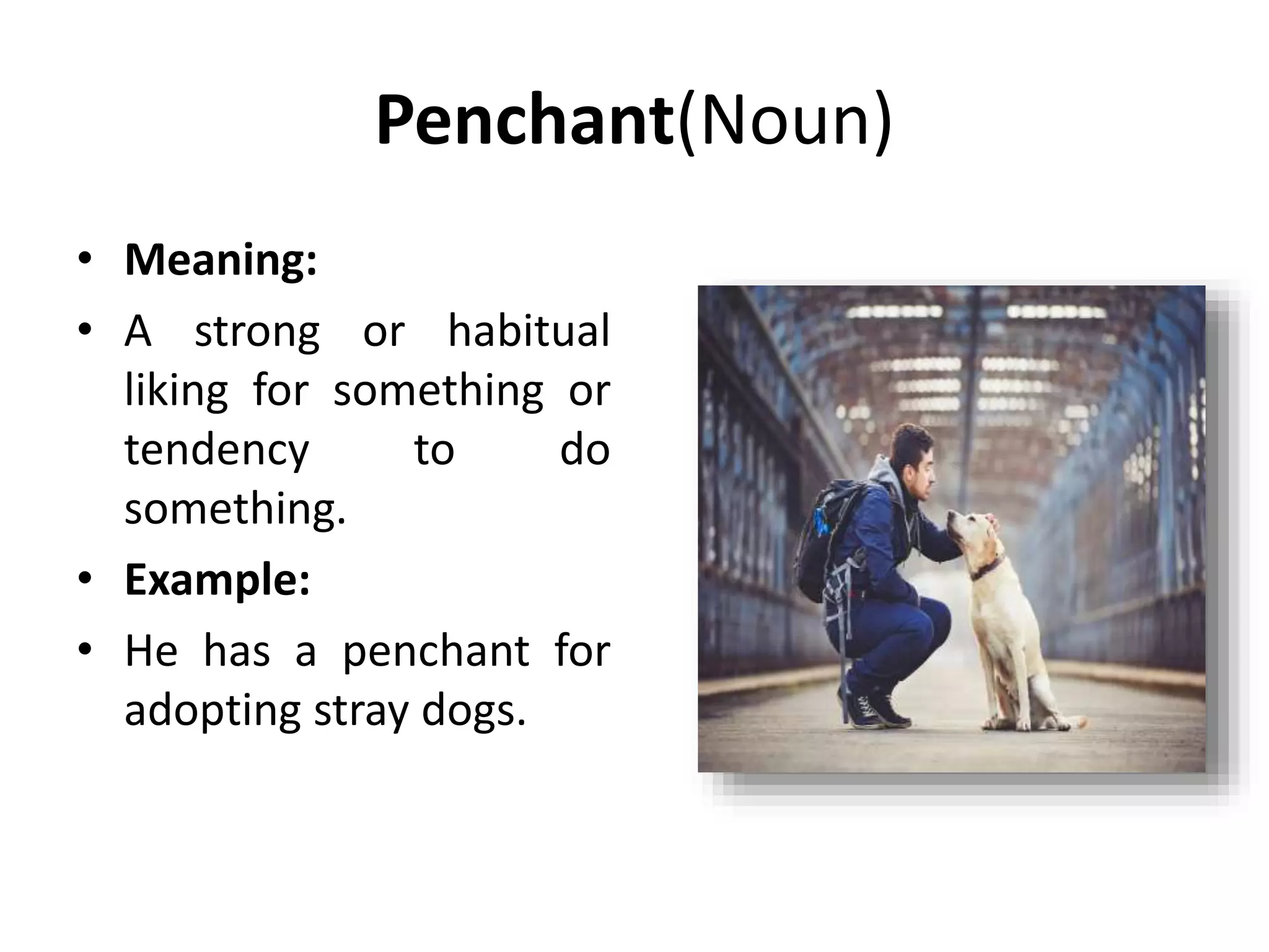 Vocabulary drill rj | PPTX