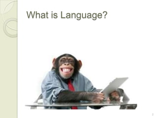 Vocabulary etymology | PPTX