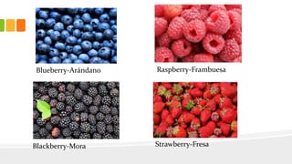 Vocabulary food.pptx