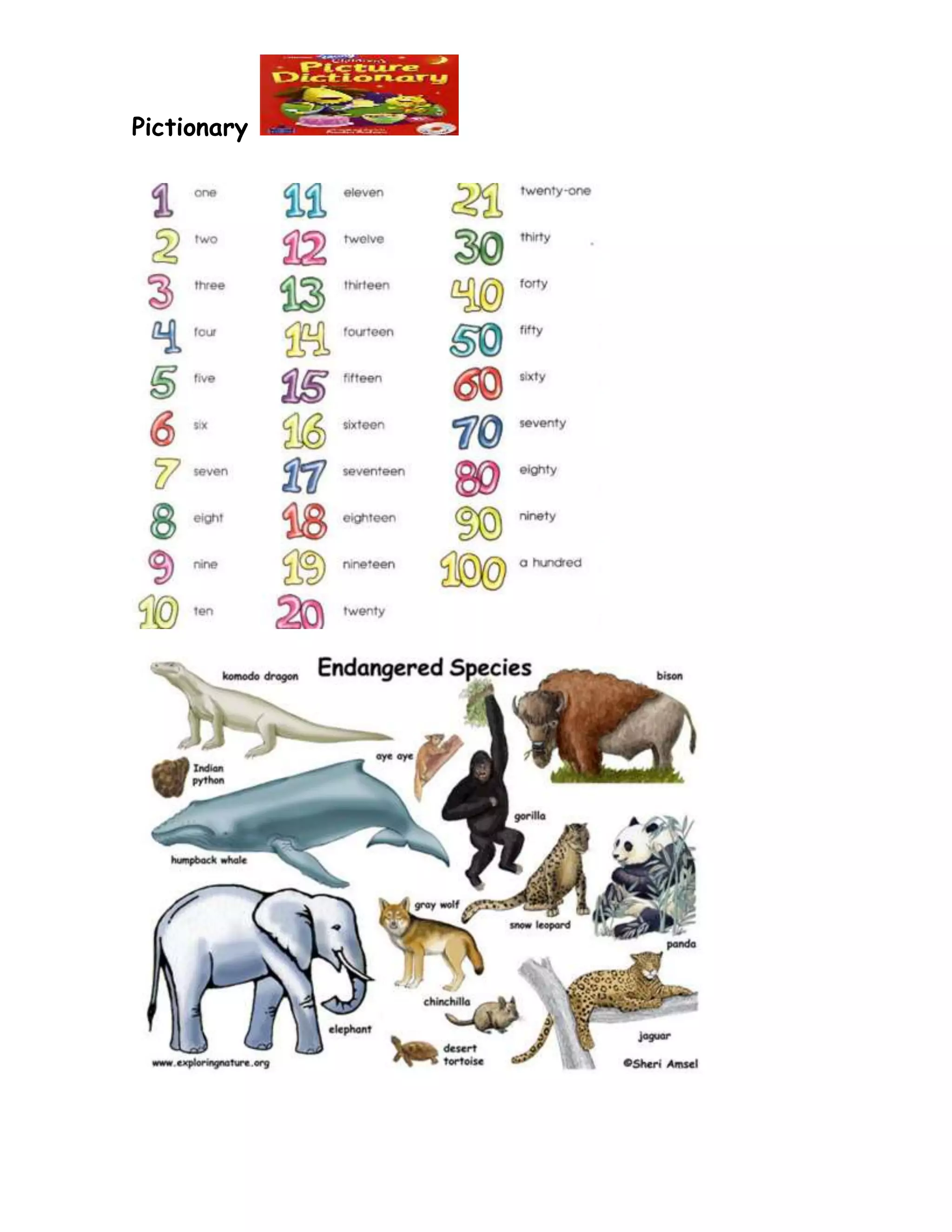 Pictionary | PDF | Free Download