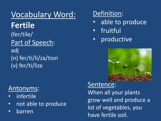 Vocabulary list 1 | PPT
