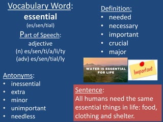 Vocabulary list 55 | PPT