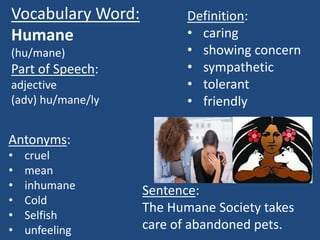 Vocabulary list 9 | PPT