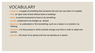 Learning Vocabulary | PPT