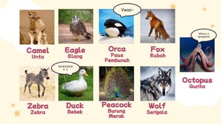 Vocabulary of animals.pptx