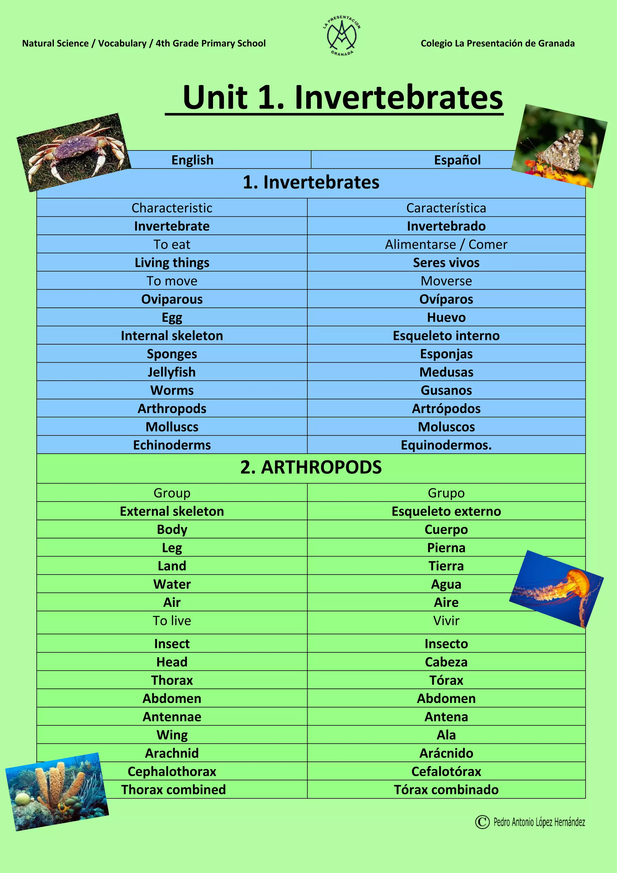 Vocabulary of invertebrates | PDF