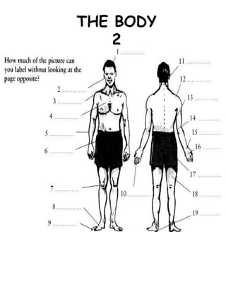 Vocabulary on hospital_departments_body_parts | PPTX
