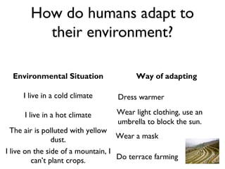 Vocabulary packet 6 (ad ) | PPT