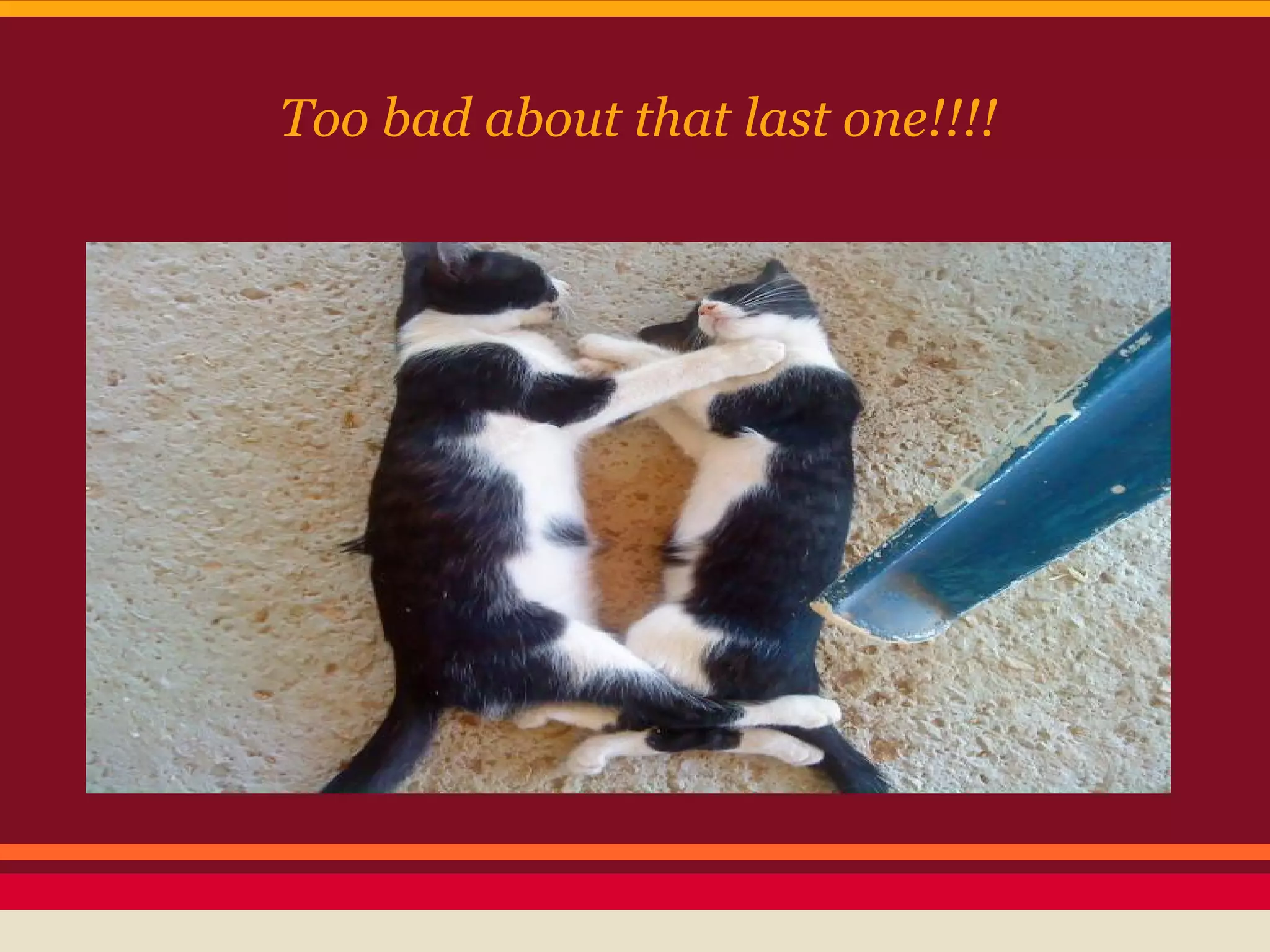 Vocabulary presentation for KET class | PDF