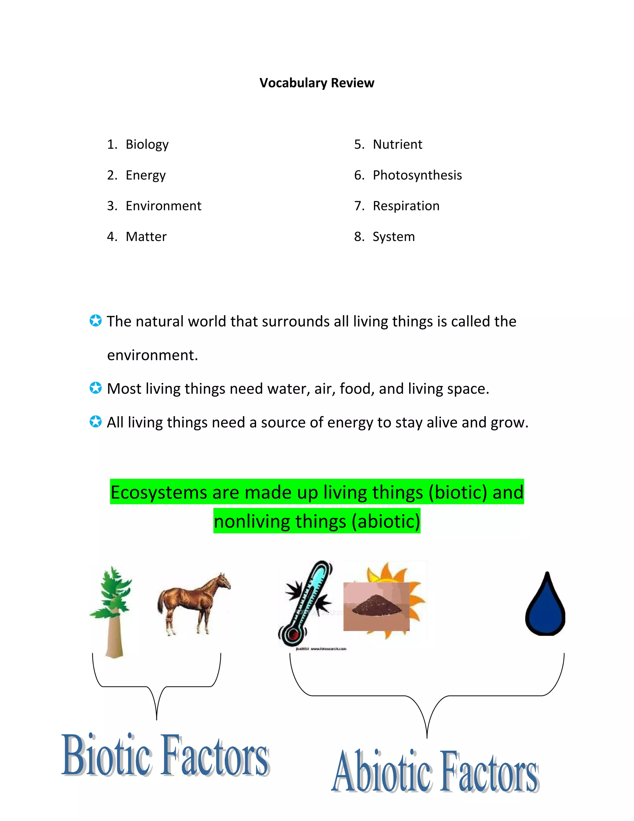Vocabulary Review 14.1 | DOC | Biological Sciences | Science