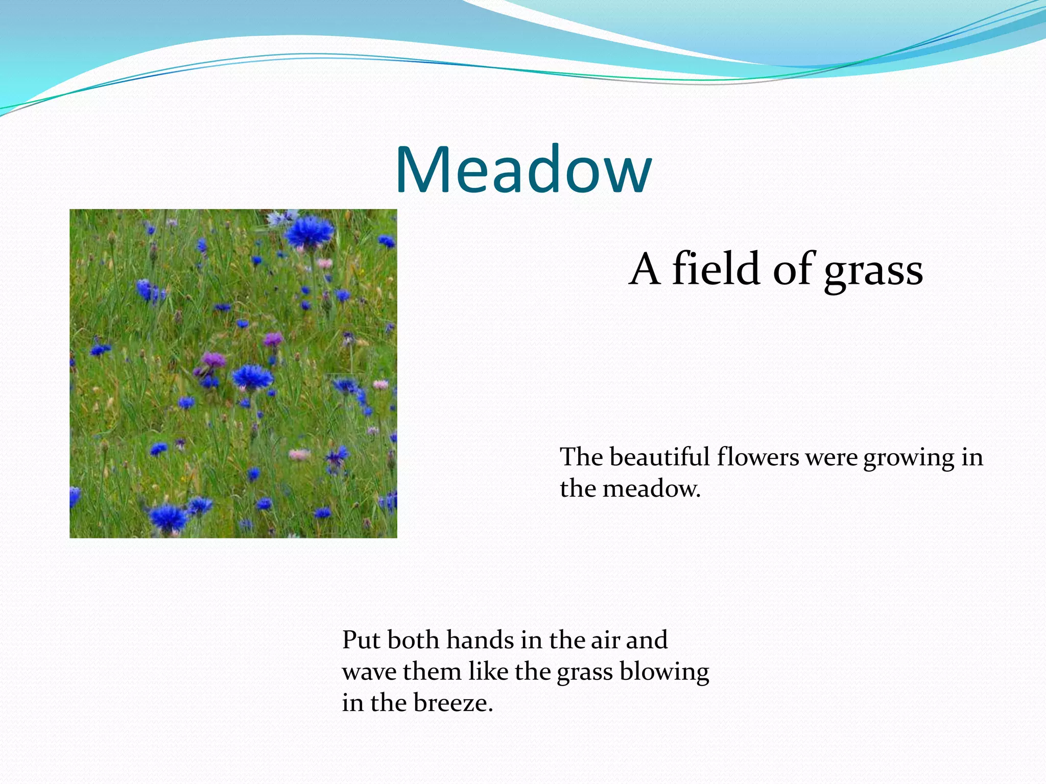 Vocabulary slides hungry little hare | PPTX