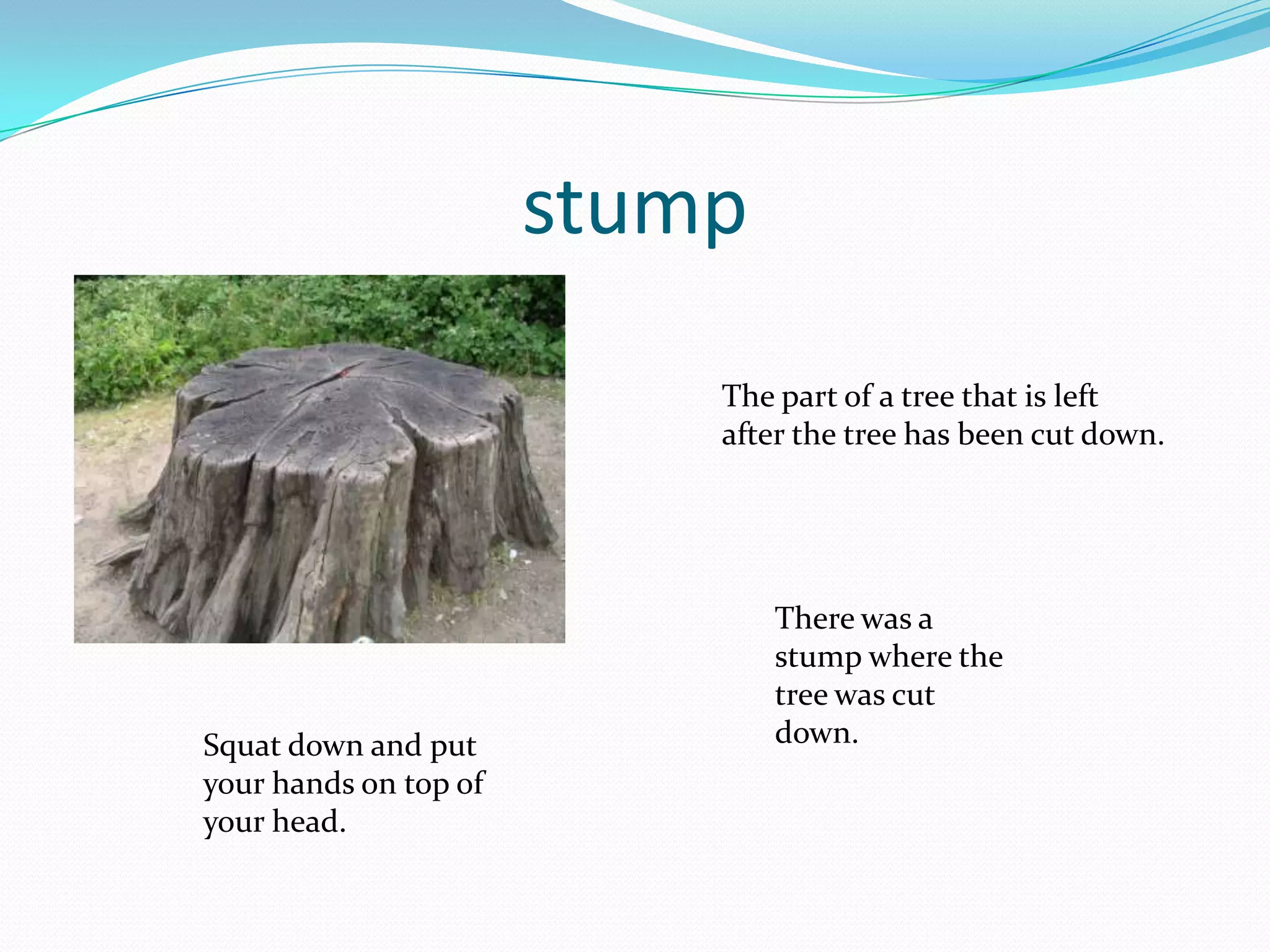 Vocabulary slides hungry little hare | PPTX