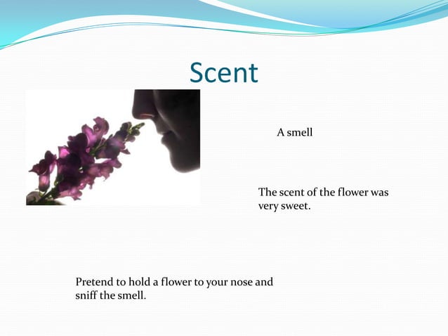 Vocabulary slides hungry little hare | PPTX