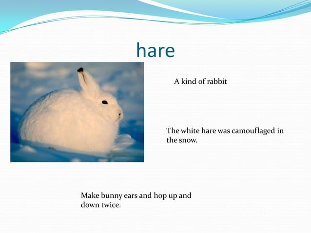 Vocabulary slides hungry little hare | PPTX
