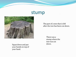 Vocabulary slides hungry little hare | PPTX