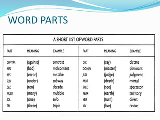 Vocabulary structural clues | PPTX