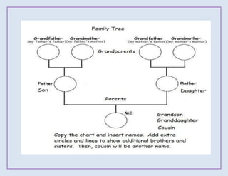 Vocabulary trees | DOCX