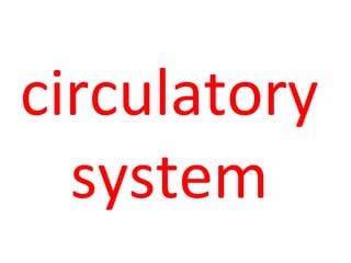 Vocabulary unit 1 circulatory system | PPT