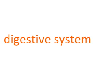 Vocabulary unit 1 the digestive system | PPT