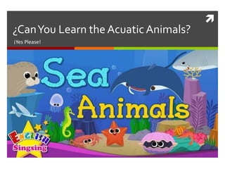 Vocabulary Unit 2 - Acuatic Animals for kids | PPTX