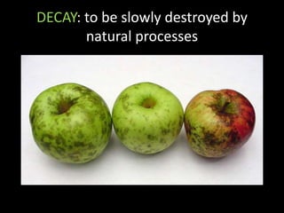 Vocabulary unit 3 recycling | PPTX