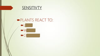 Vocabulary unit 4 life processes of plants | PPT