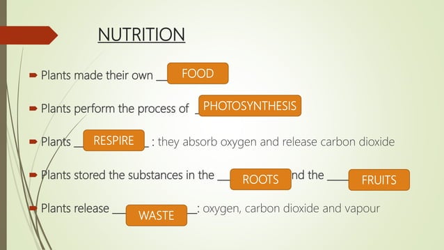 Vocabulary unit 4 life processes of plants | PPT