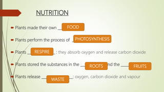 Vocabulary unit 4 life processes of plants | PPTX | Gardening | Home ...