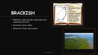 Vocabulary Workshop Level G Unit 2 | PPTX