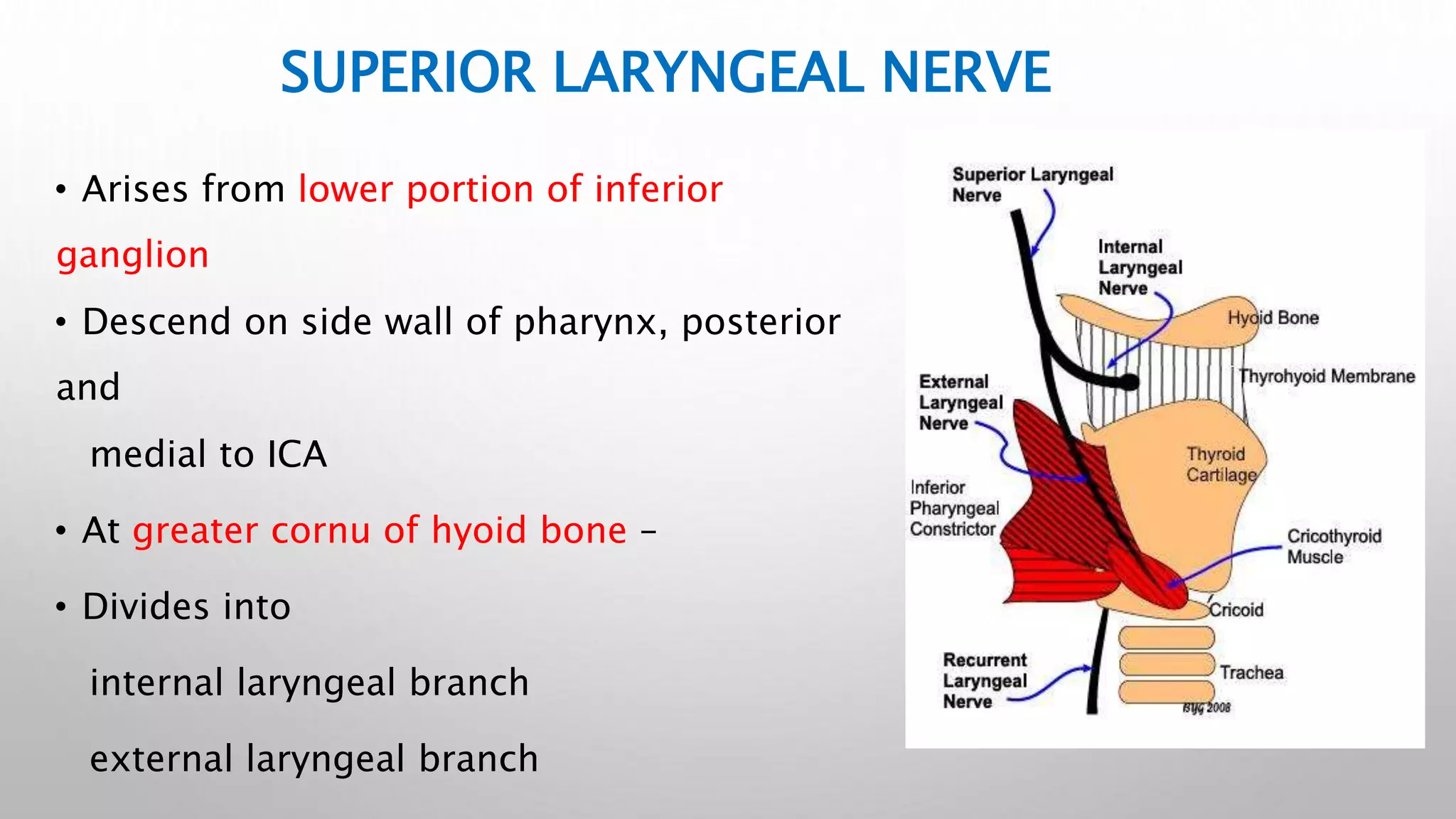 Vocal cord paralysis | PPTX