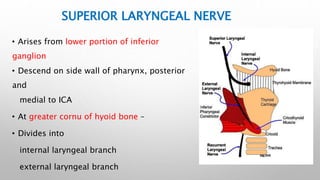Vocal cord paralysis | PPTX