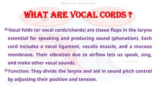 Vocal cord presentation anatomy ......... | PPTX