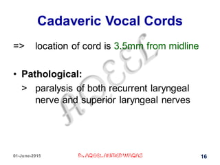 Vocal Cords Movements by Dr. Aqeel Ahmed Waqas (AIMC/JHL) | PDF