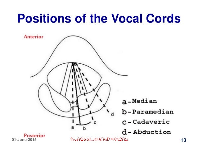 Vocal Cords Movements by Dr. Aqeel Ahmed Waqas (AIMC/JHL)