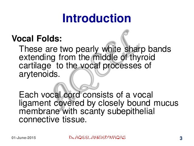 Vocal Cords Movements by Dr. Aqeel Ahmed Waqas (AIMC/JHL)