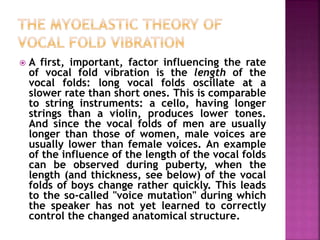 Vocal cords vibration theories | PPT