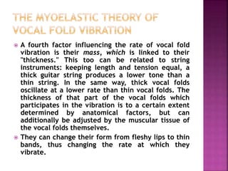 Vocal cords vibration theories | PPT
