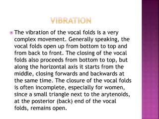 Vocal cords vibration theories | PPT