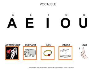 Vocalele | PPT