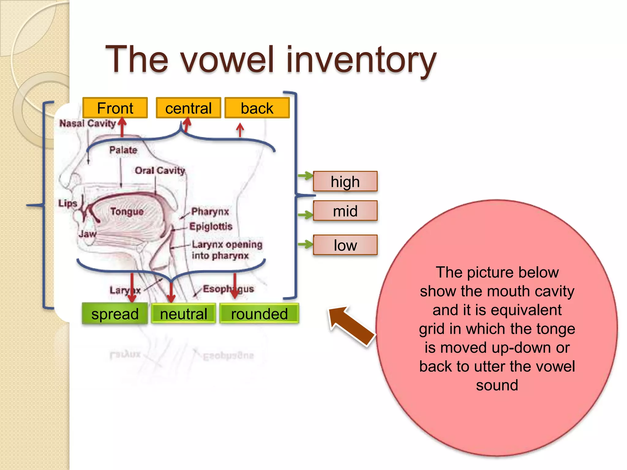 VOWELS SOUNDS | PPTX