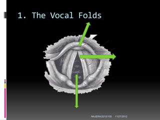 Vocal health &hygiene | PPSX
