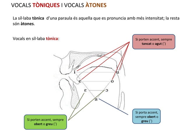 El sistema vocàlic | PPT | Free Download