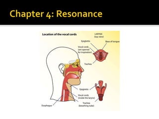 Vocal technique: A Guide for conductors, teachers, and singers (Julia ...