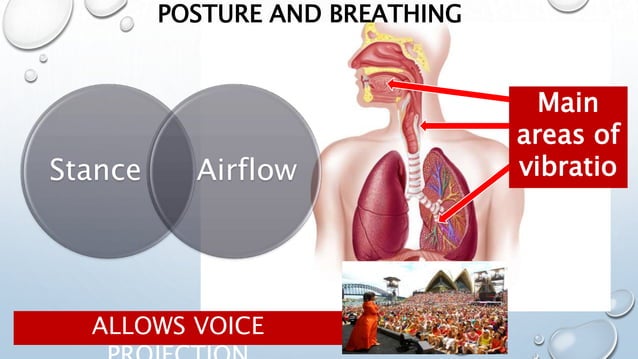 Vocal Variety Simplified | PPTX