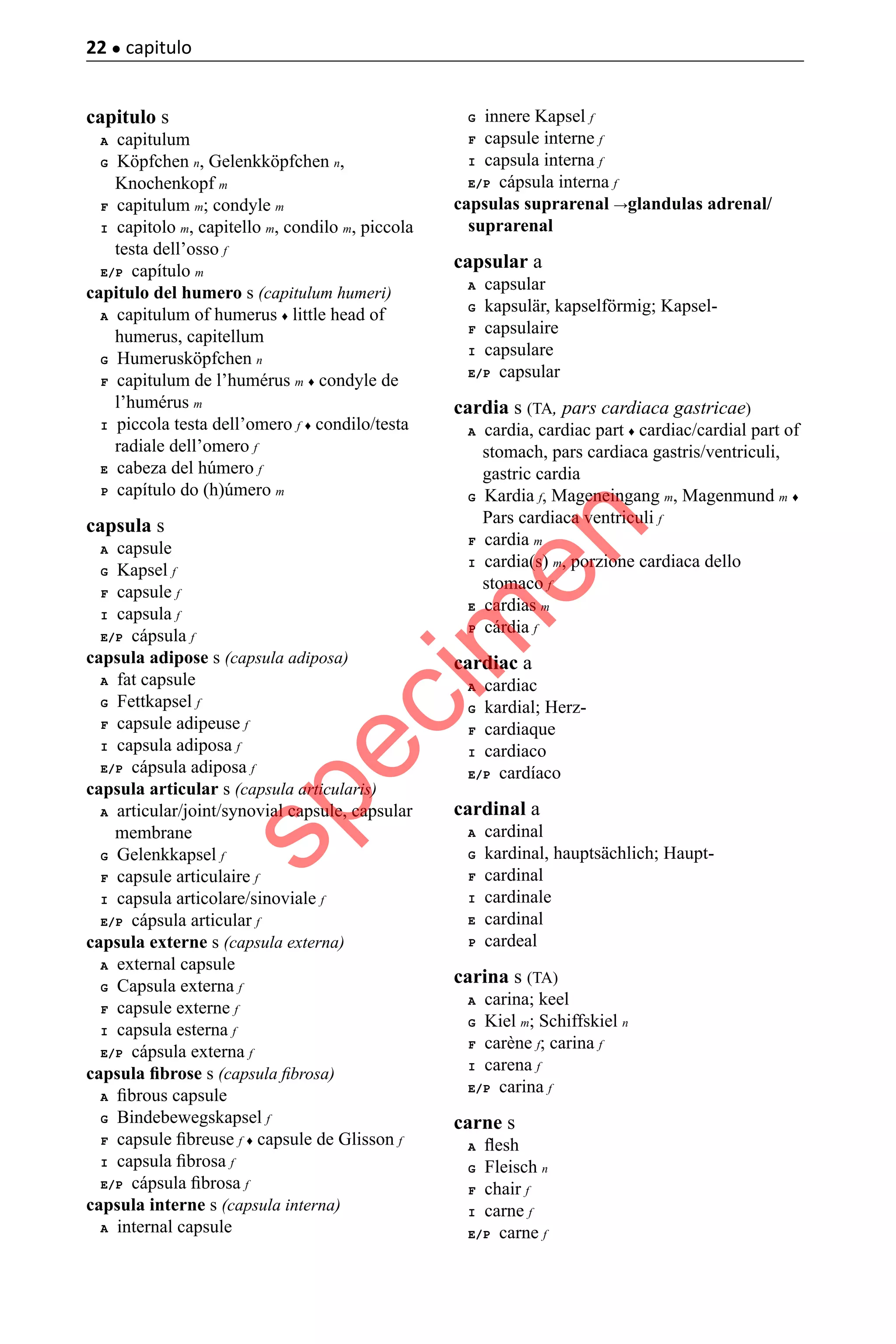 Anatomical Terminology | PDF