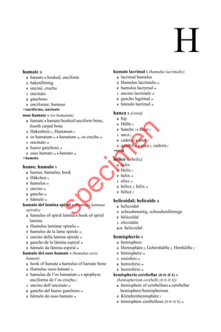 Anatomical Terminology | PDF