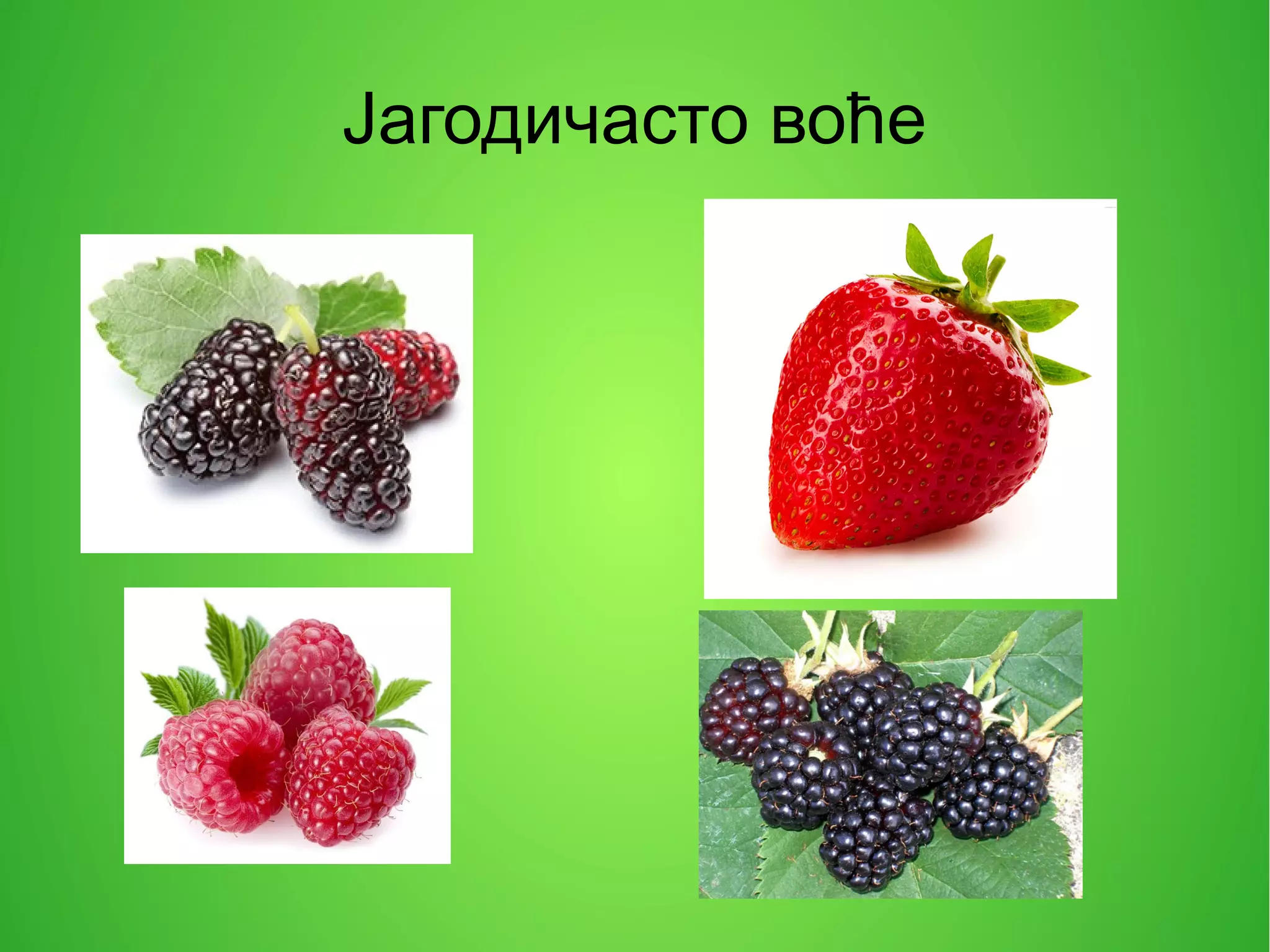 Воћњак и виноград, Григорије Остојић | PPT