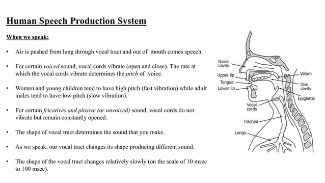 Speech Coding Ppt