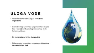 VODA (1).pptx