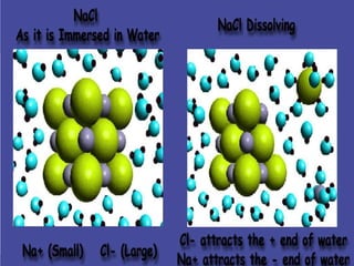Hemijska organizacija ćelije; voda i neorganske materije | PPT